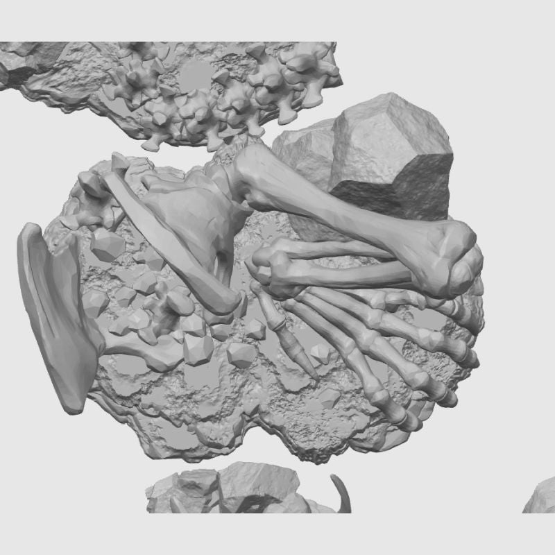 Dragon Bones Terrain – 3D Printed Scenery for Warhammer & DnD – Pandem ...